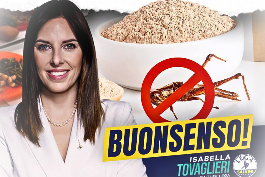 No, la Lega non ha vietato la farina di grillo nelle mense scolastiche ...