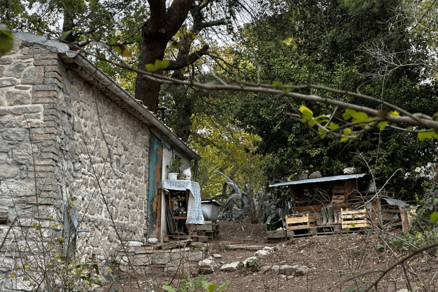 Famiglia nel bosco: la verità sulla decisione dei giudici | Pagella ...